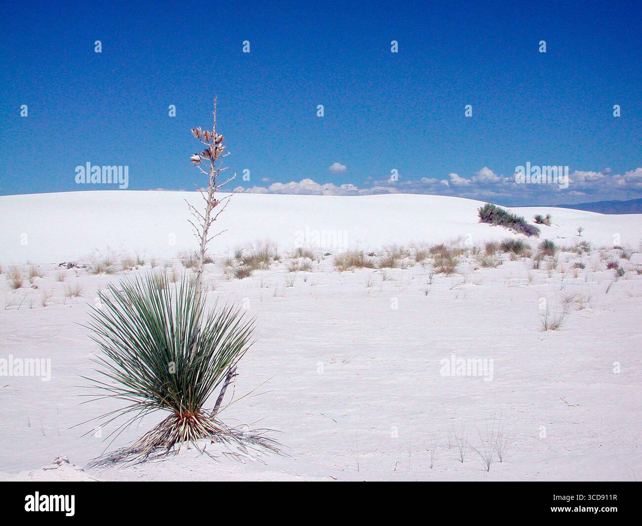 a desert landscape, an area in nature with little rainfall desert ...