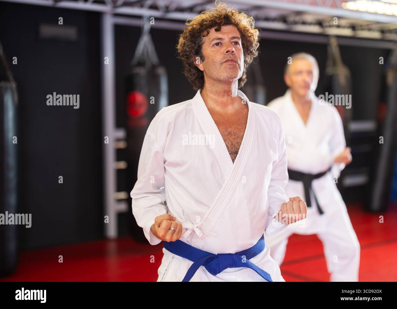 Karate student performing kata with instructor Stock Photo - Alamy