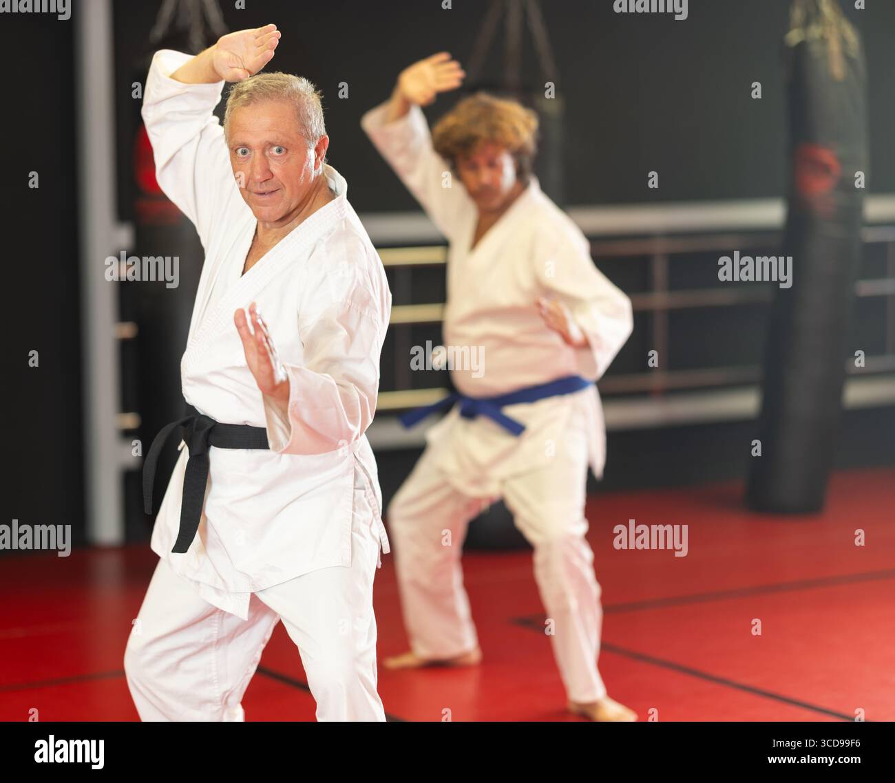 Practicing martial arts in dojo hi-res stock photography and images - Alamy