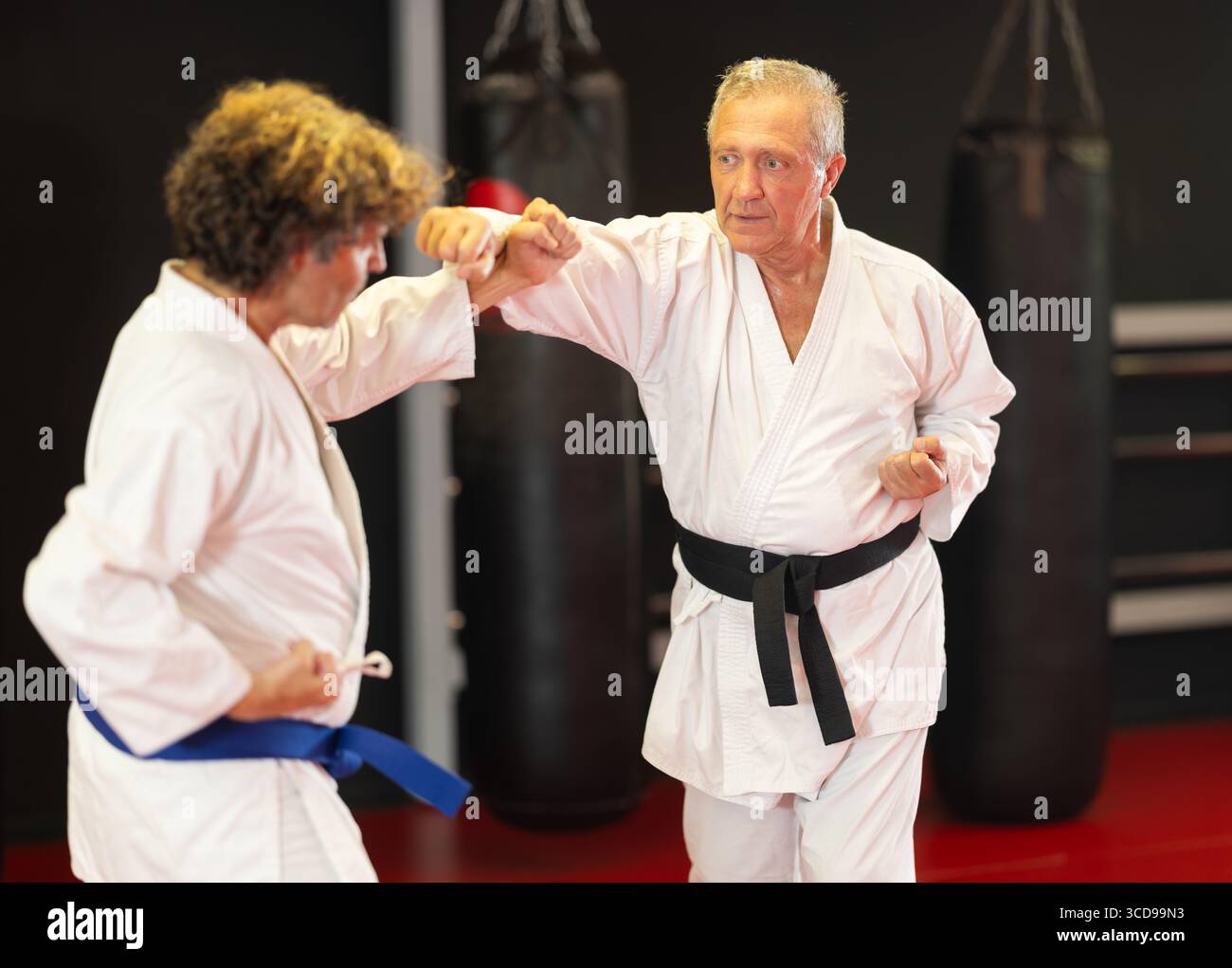 Older karate fighter practicing hi-res stock photography and images - Alamy