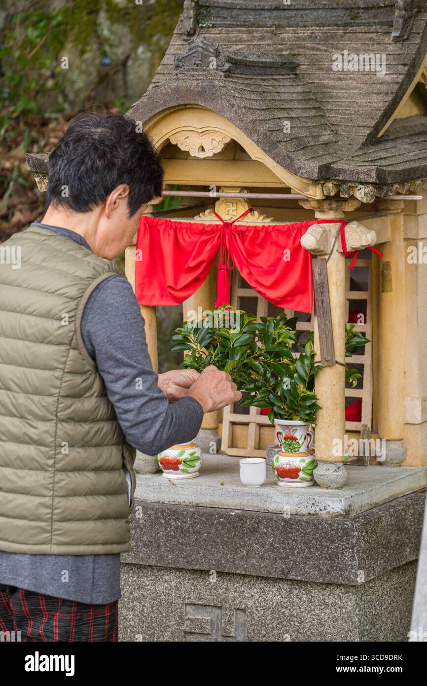 Elderly Japanese woman attending to small outdoor Kamidana shrine ...