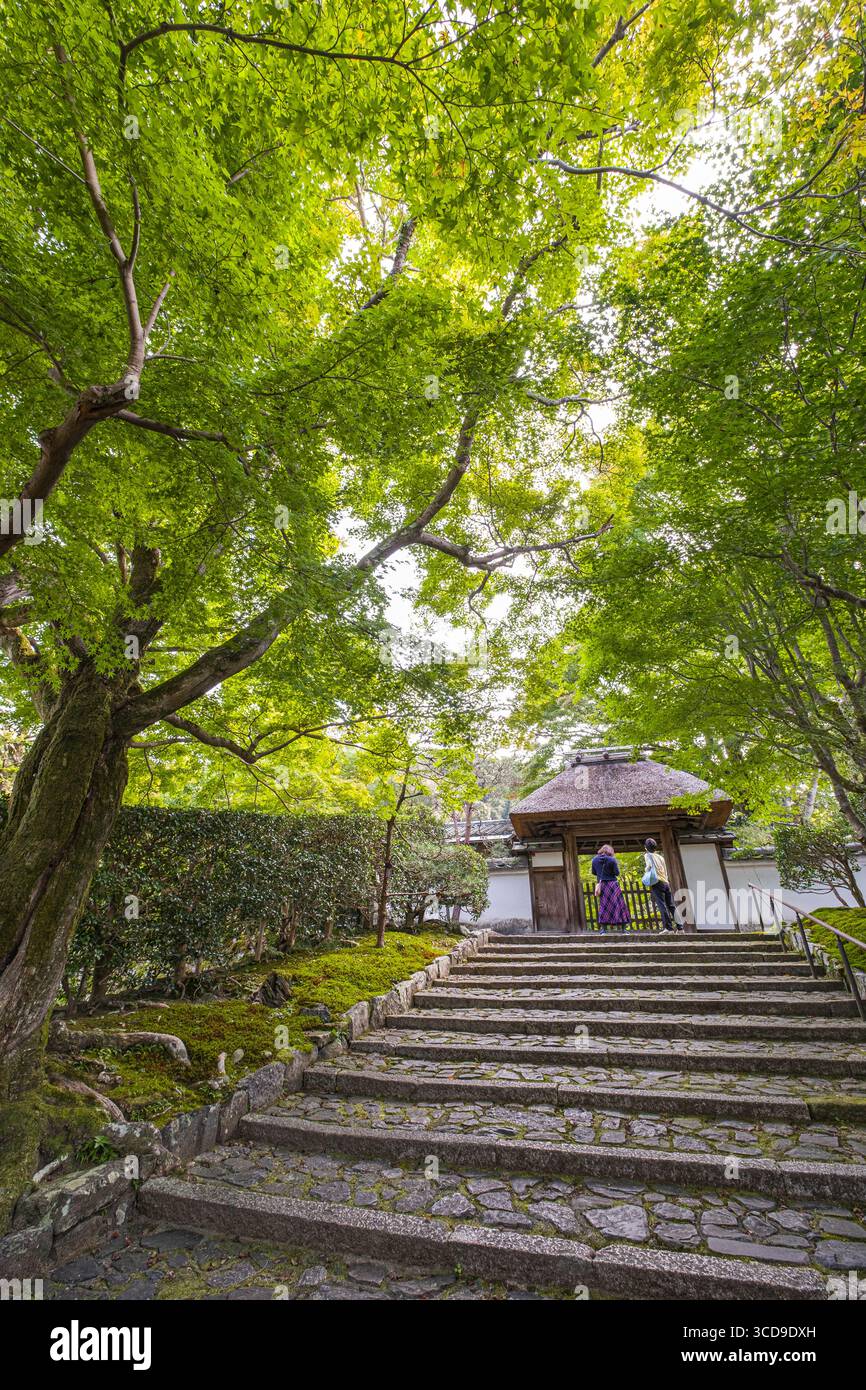 Stone steps leading up to the main gate at Anraku-ji Temple ...