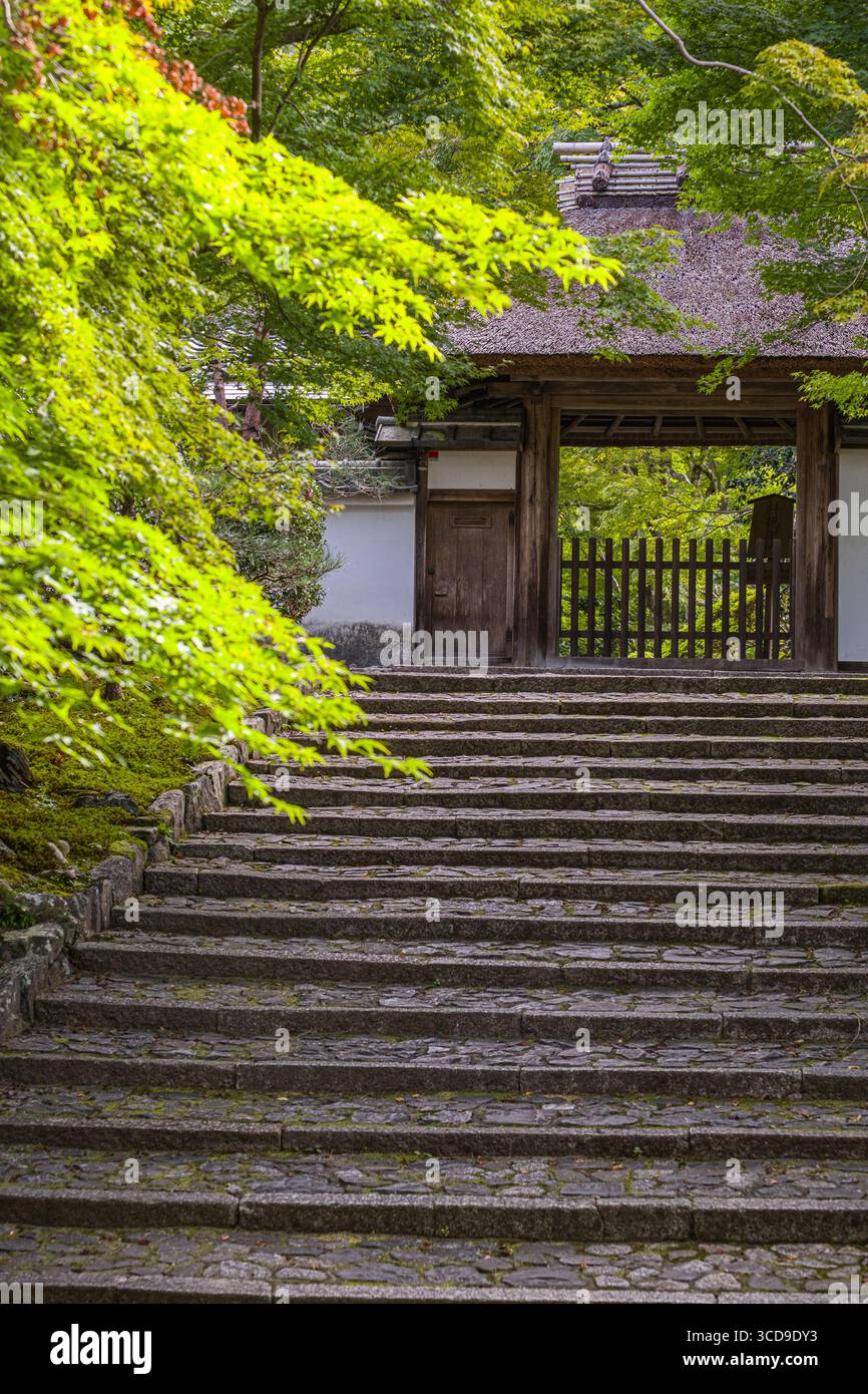 Stone steps leading up to the main gate at Anraku-ji Temple ...