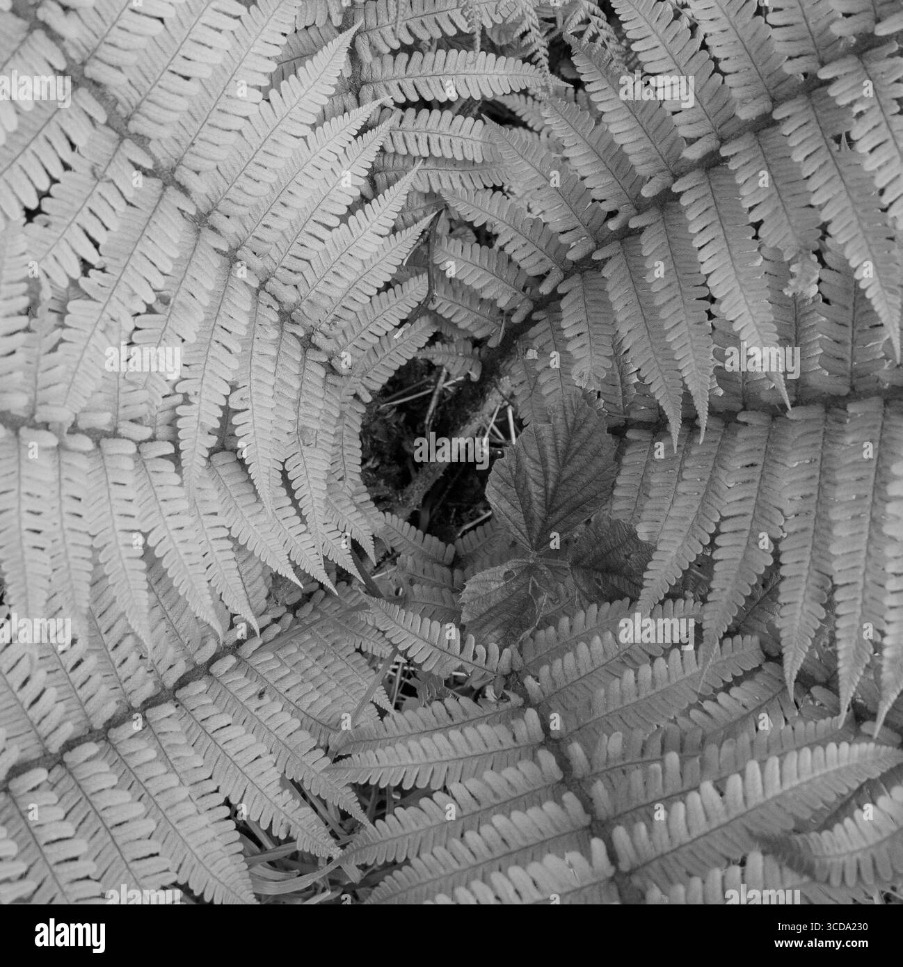 Soft focused image black hi-res stock photography and images - Alamy