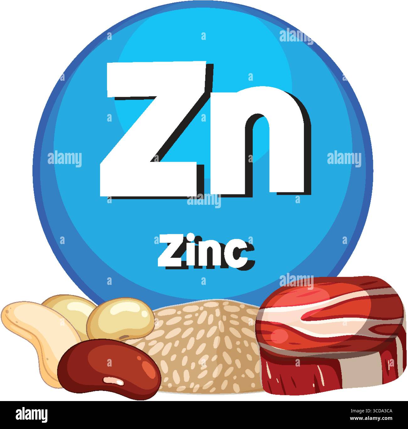 Nuts and seeds overhead isolated Stock Vector Images - Alamy