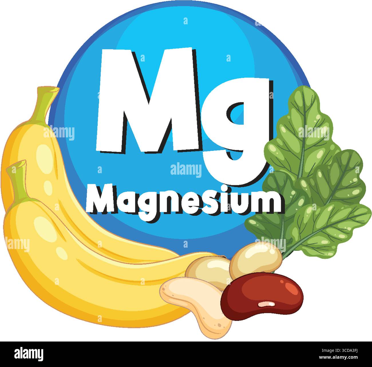 Colorful vector illustration of magnesium sources including banana ...