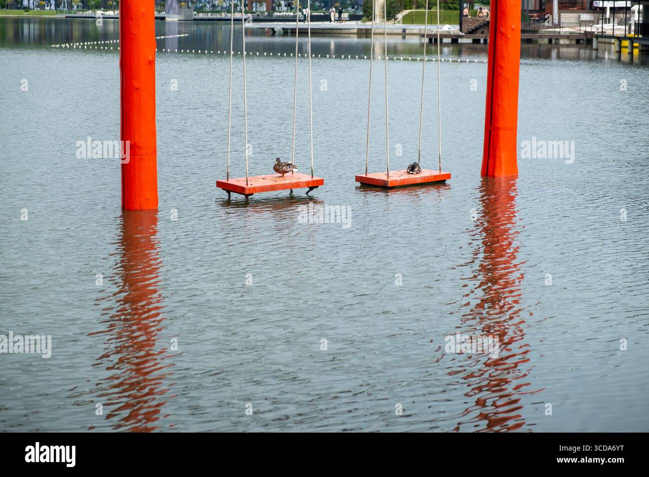 Swings over water hi-res stock photography and images - Alamy