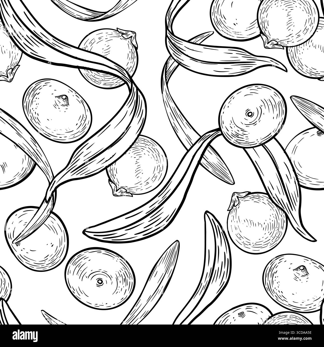 Palm refreshment Black and White Stock Photos & Images - Alamy