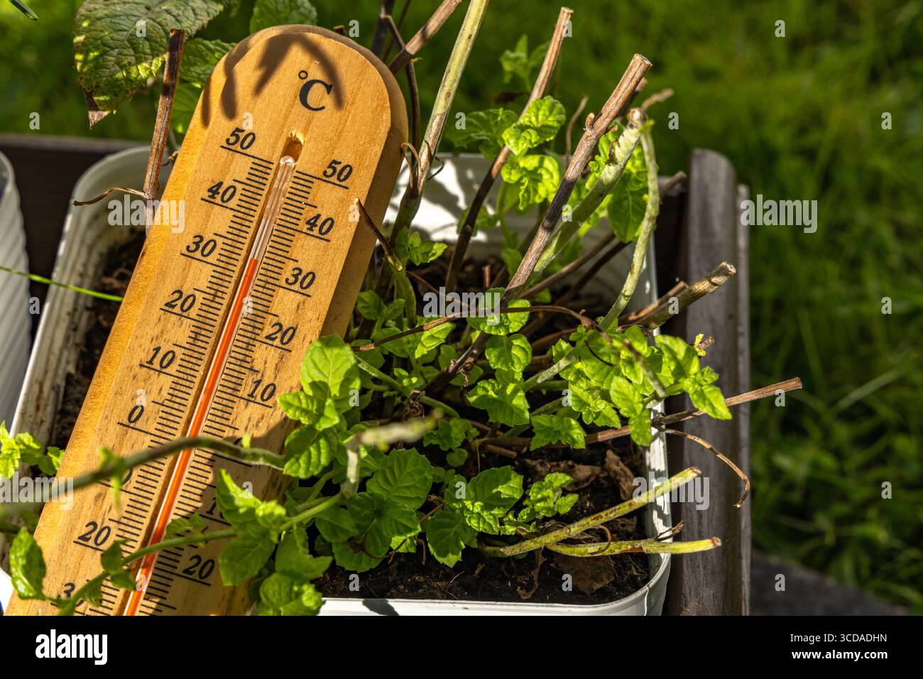 A wooden mercury thermometer shows a very high temperature in the ...