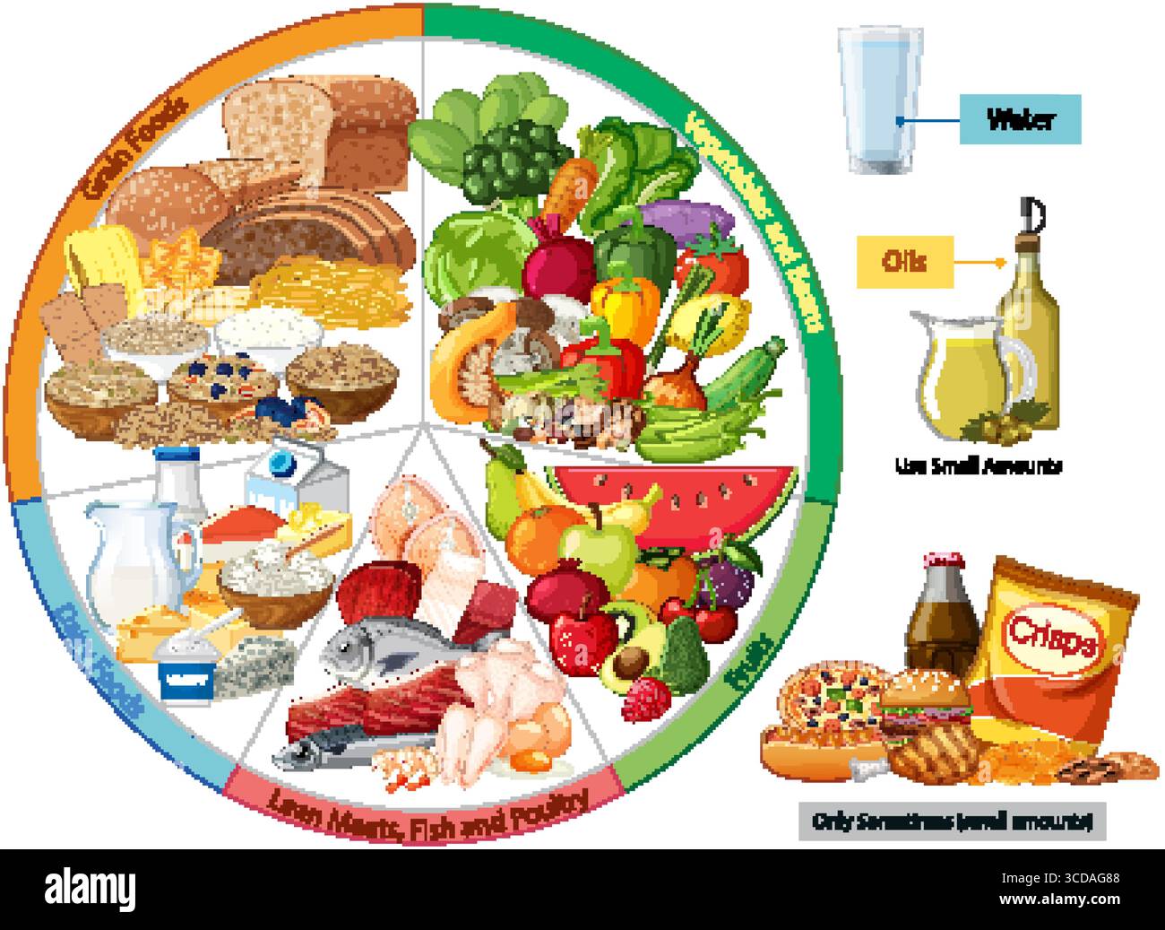 Colorful vector illustration of a balanced food plate, dividing grains ...