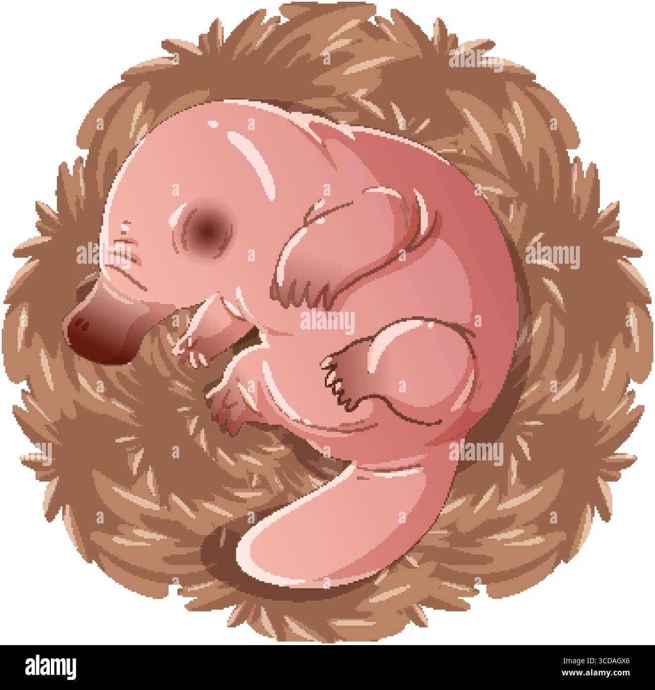 Cartoon-style vector of a baby platypus curled up in a nest, soft ...
