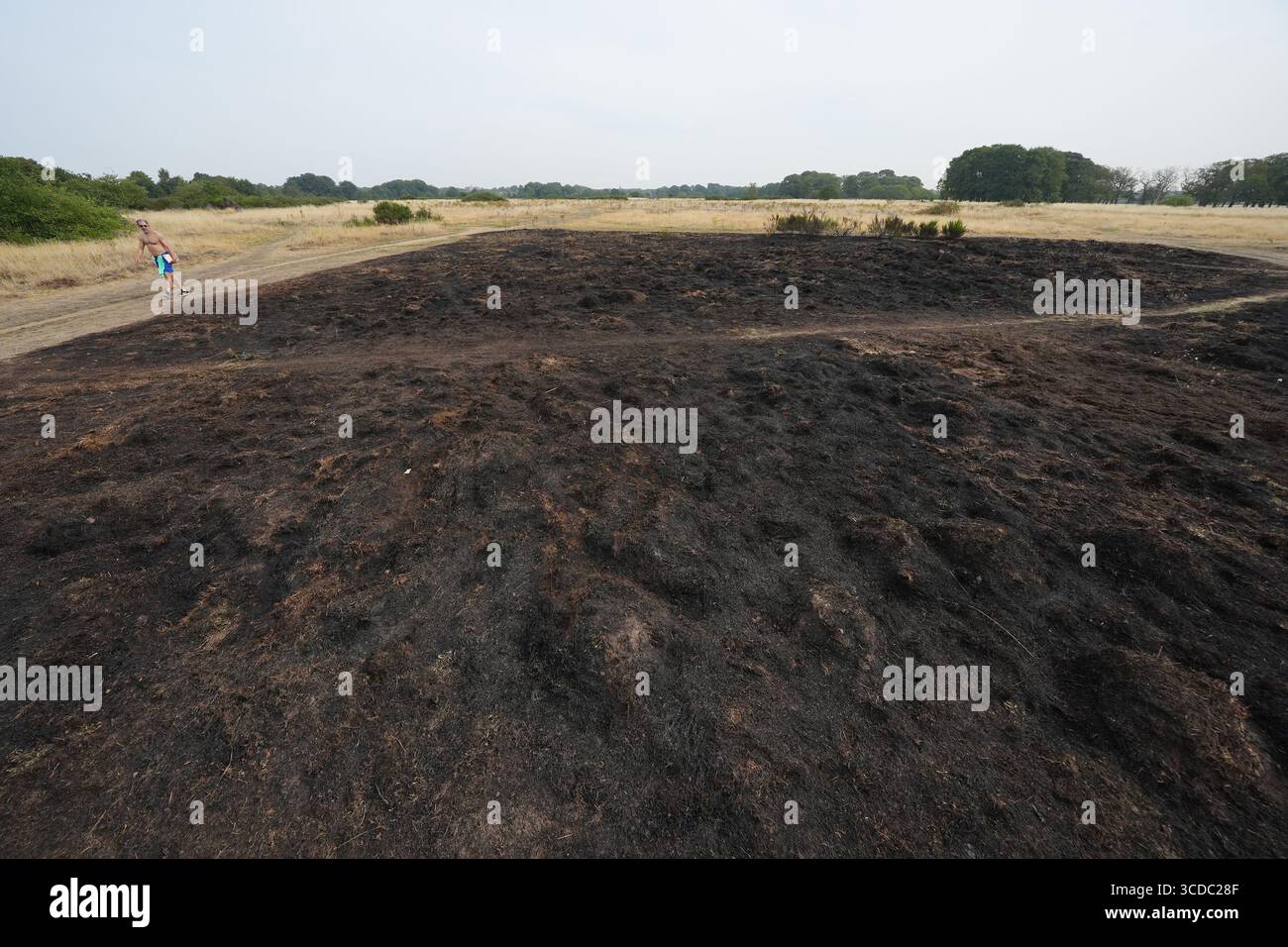 The aftermath of a grass fire in Wanstead Flats, north-east London. The ...