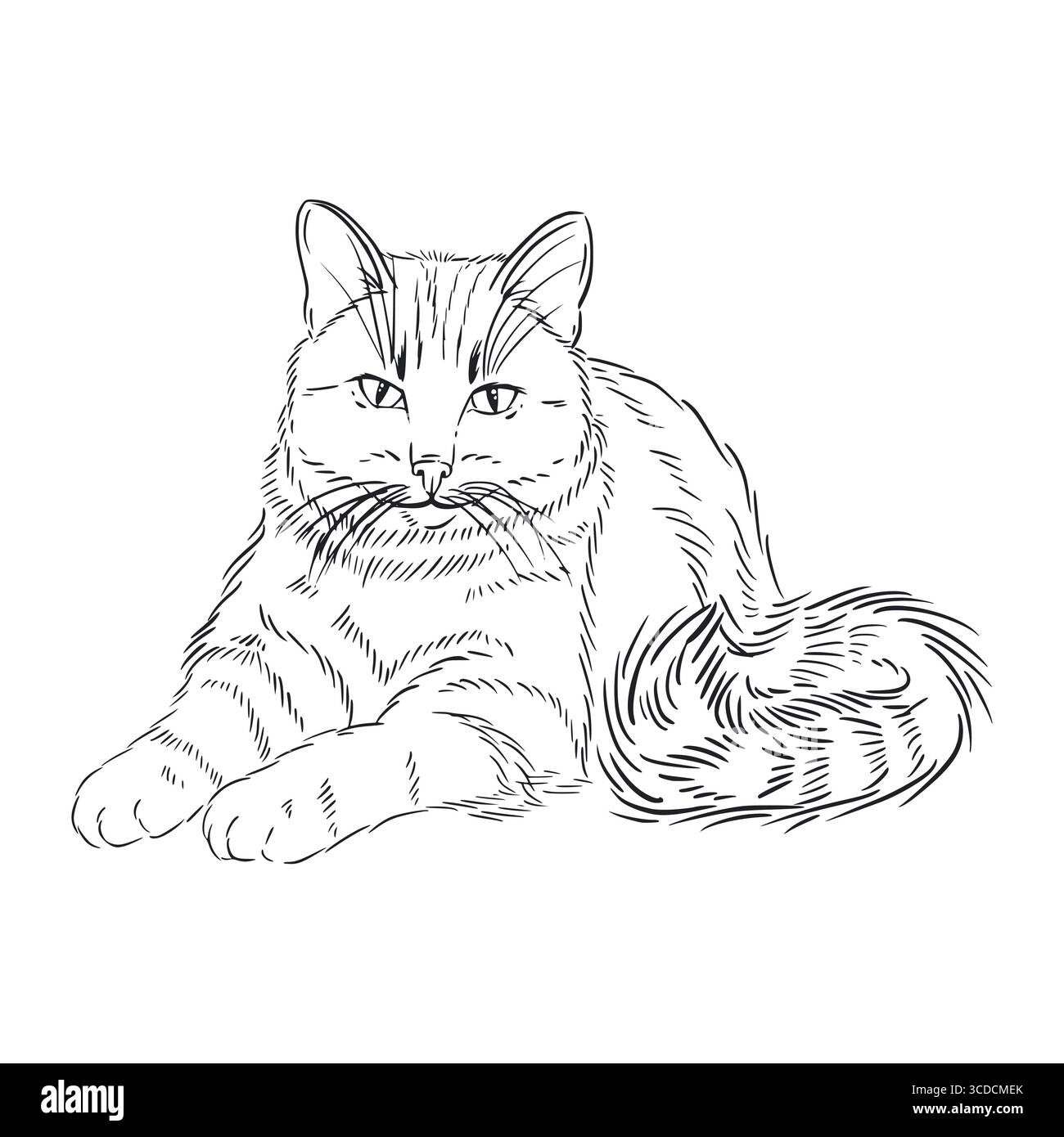 Small child in fluffy Cut Out Stock Images & Pictures - Alamy