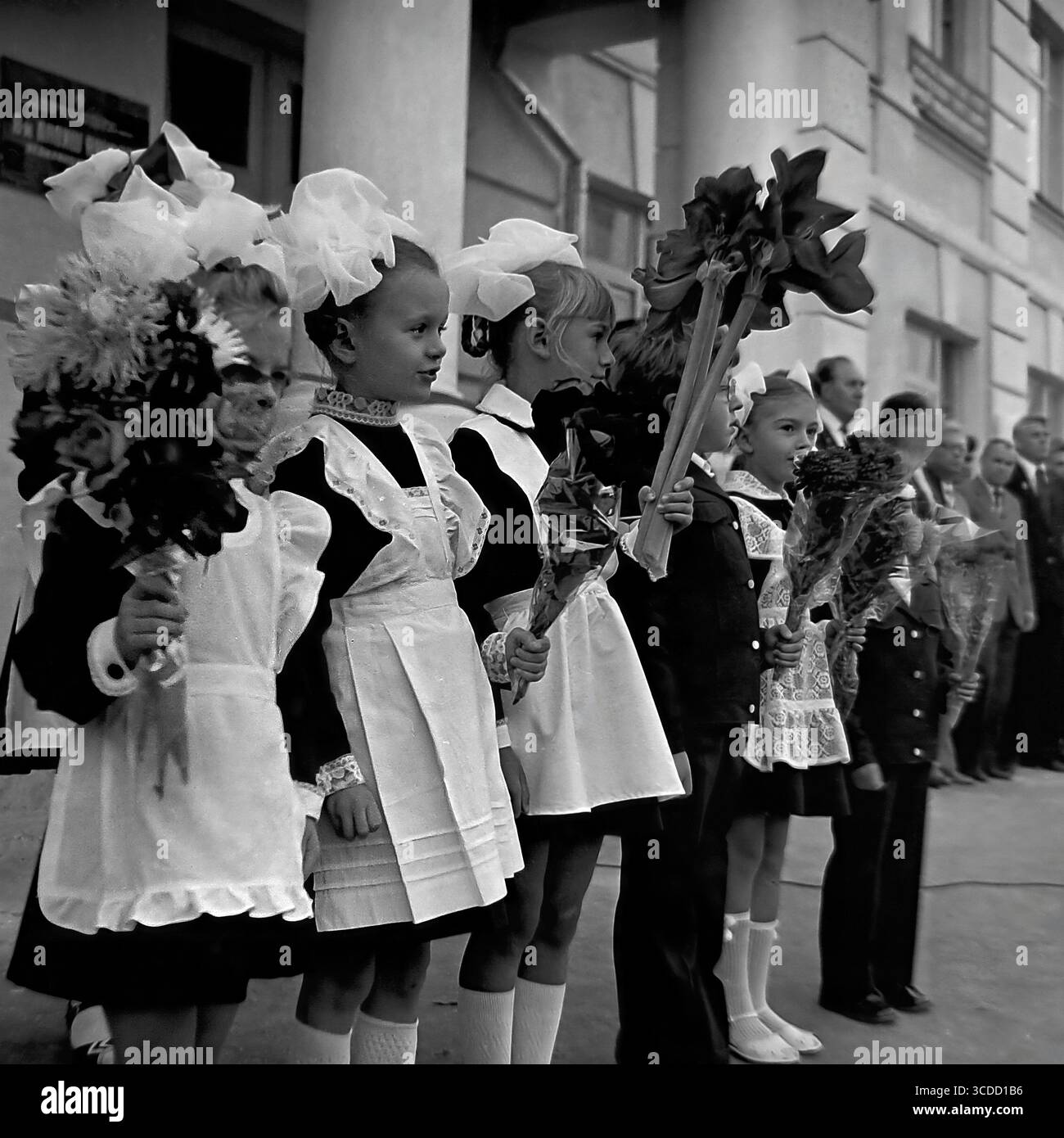 First-grade girls in formal Soviet school uniforms with white bows and ...
