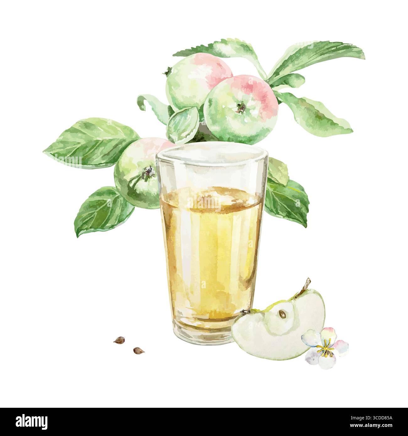 Apple juice in glass goblet with fruit slice, flower, seeds and ...