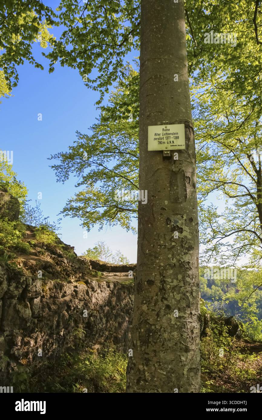 Sign, information board, Alter Lichtenstein ruins near Lichtenstein ...