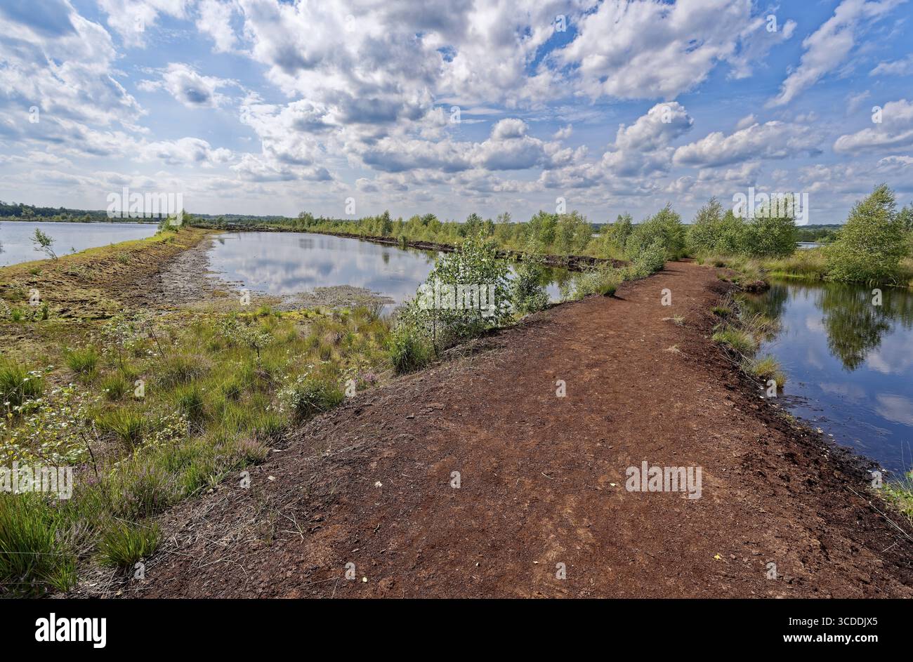 Peat drained areas hi-res stock photography and images - Alamy