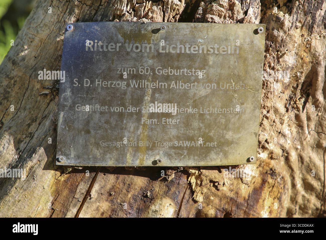 Shield, inscription, Ritter vom Lichtenstein, wooden sculpture sawn by ...