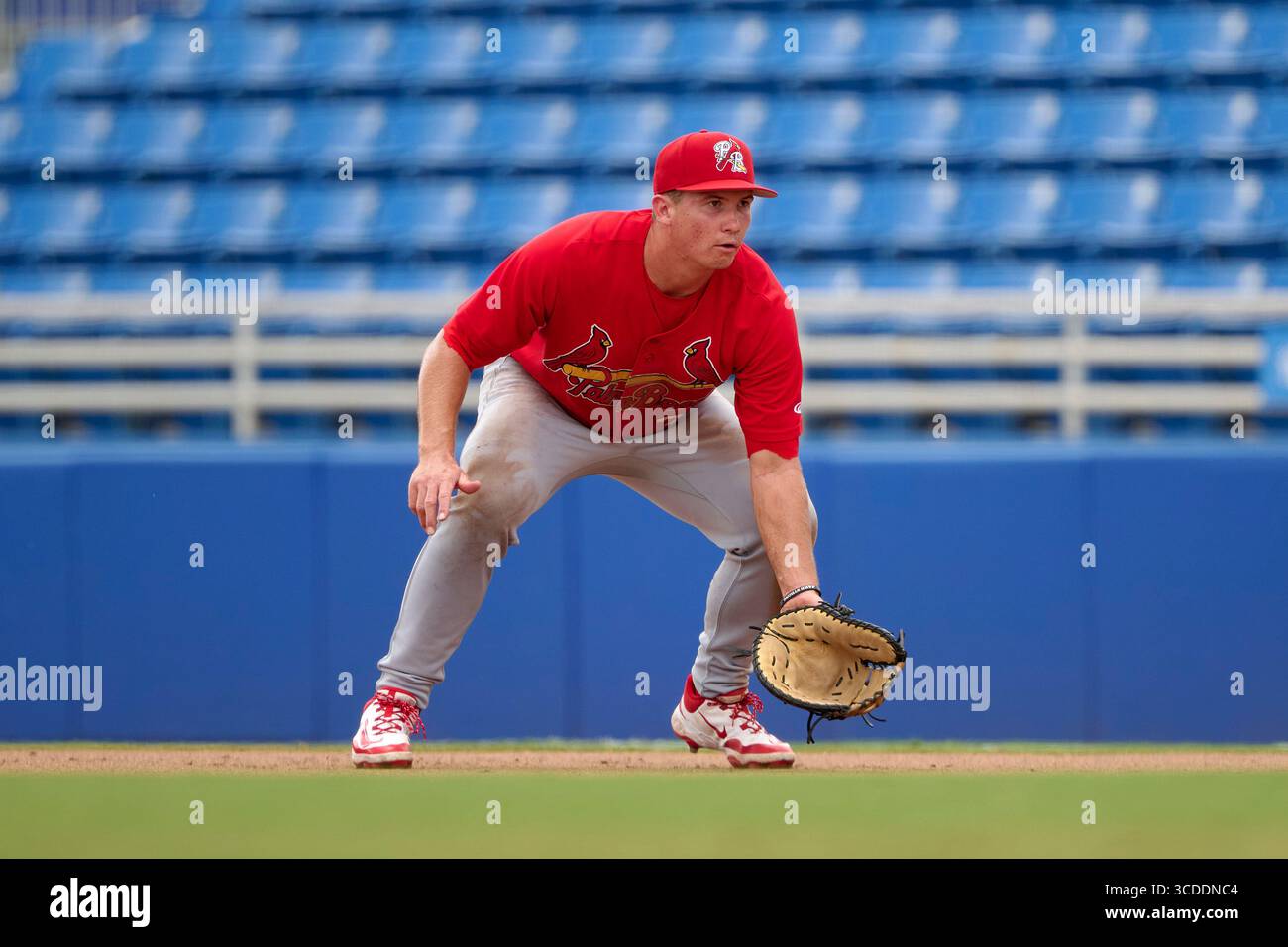 Palm Beach Cardinals first baseman Jack Gurevitch (37) during an MiLB ...