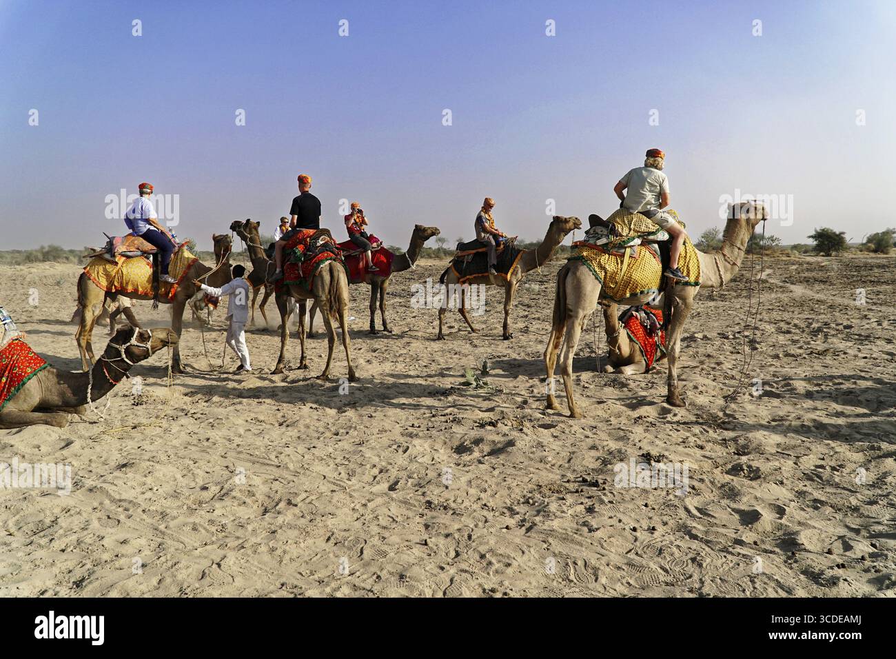 Thar Desert, Sam, near Jaisalmer, Rajasthan, India, Asia, Group of ...