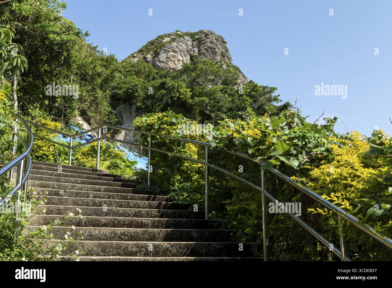 Stairs with green vegetation and blue sky, hiking trail to Mount Gusuku ...