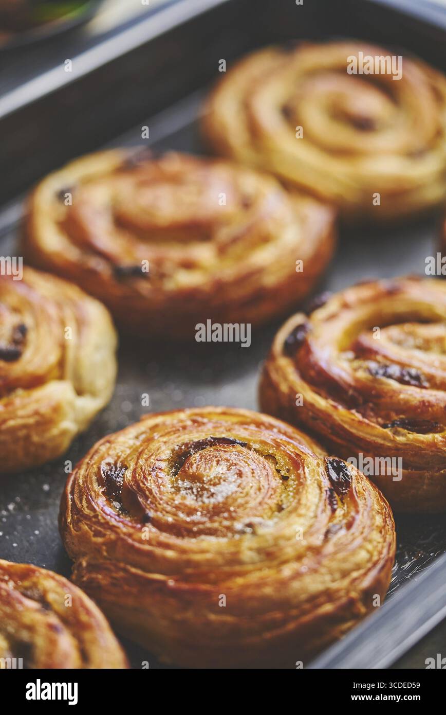Homemade puff pastry cinnamon rolls with raisins placed on oven iron ...