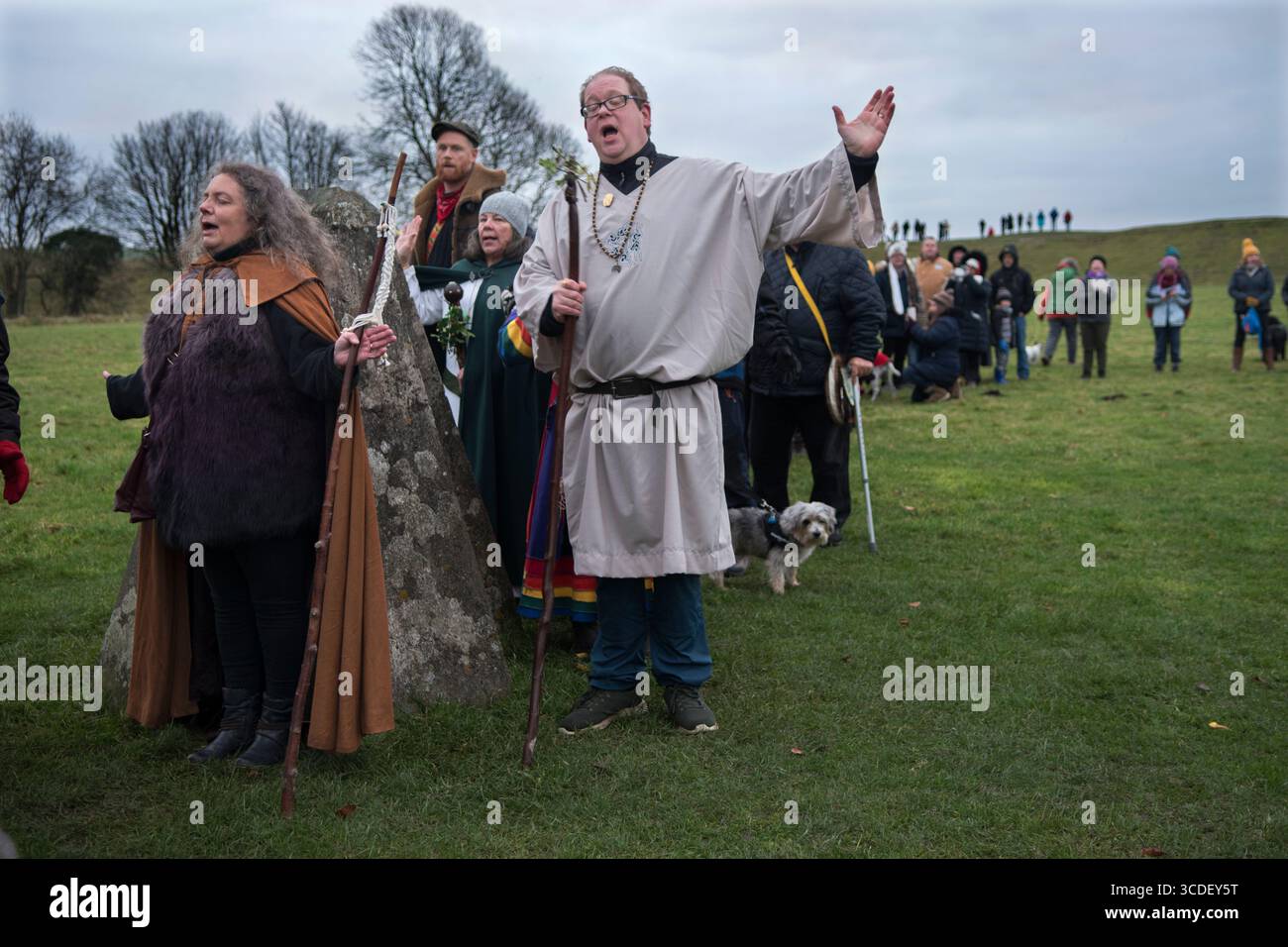 Druidic grove hi-res stock photography and images - Alamy