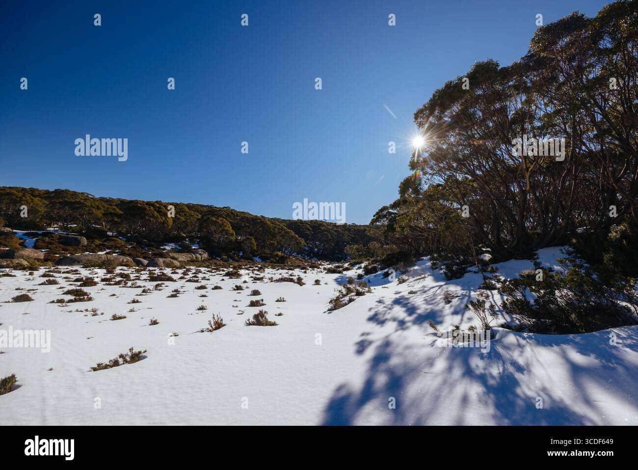 Mt St Gwinear in Baw Baw Australia Stock Photo - Alamy