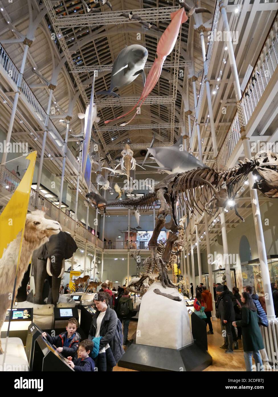 Tyrannosaurus Rex in the Natural World Galleries at the National Museum ...