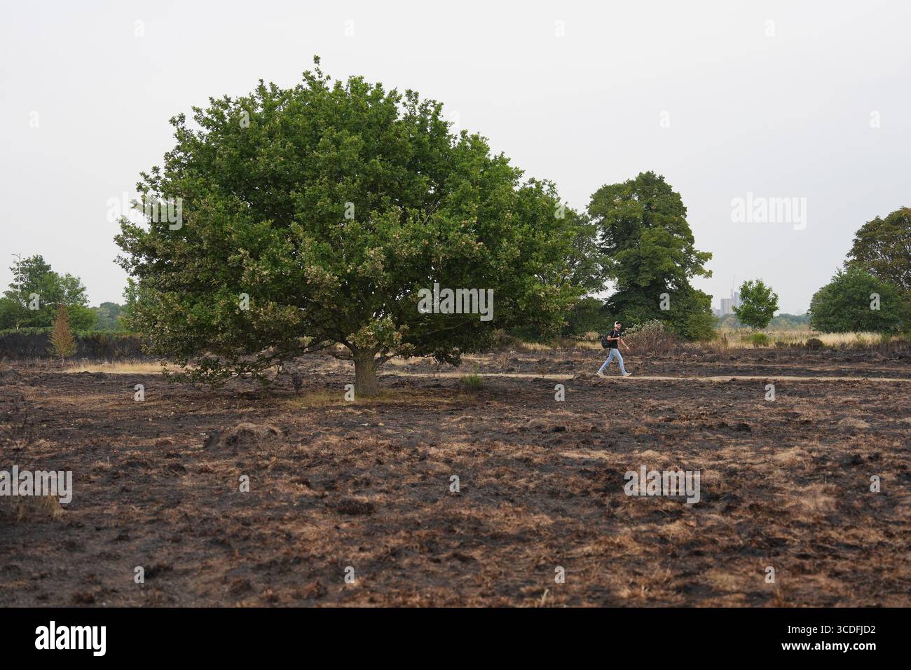 The aftermath of a fire in Wanstead Flats, north-east London. The ...