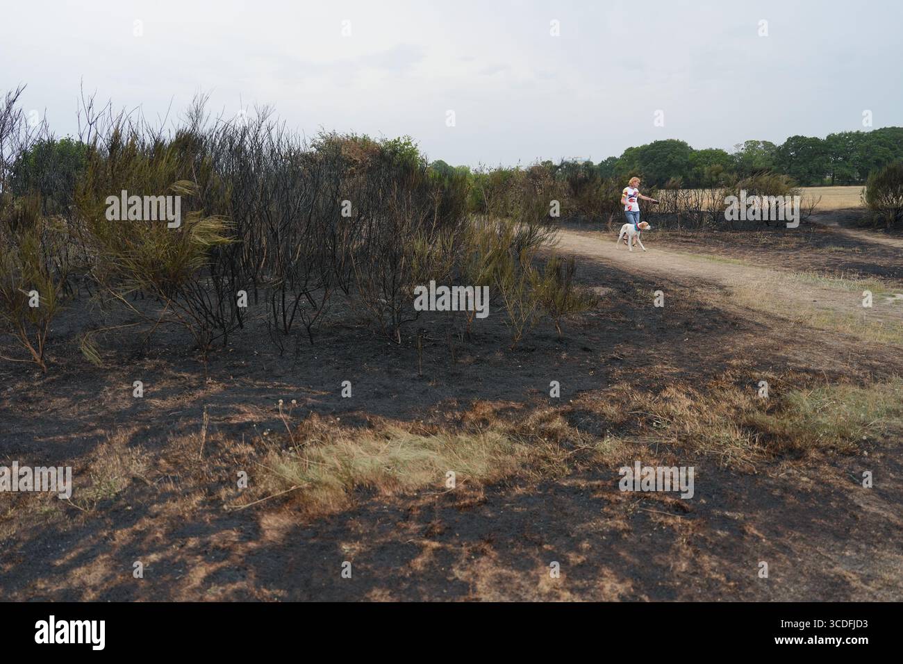 The aftermath of a fire in Wanstead Flats, north-east London. The ...