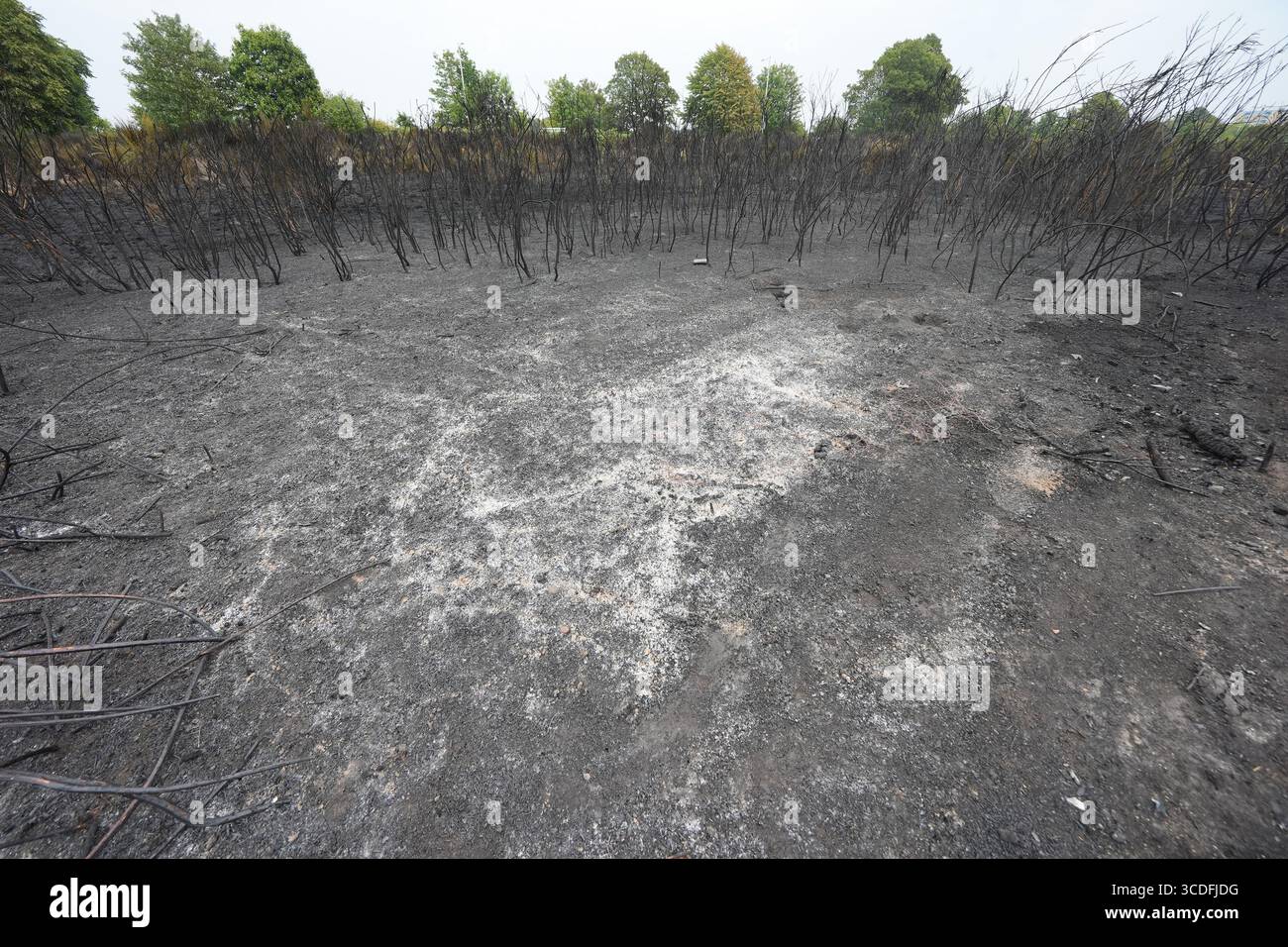 The aftermath of a fire in Wanstead Flats, north-east London. The ...
