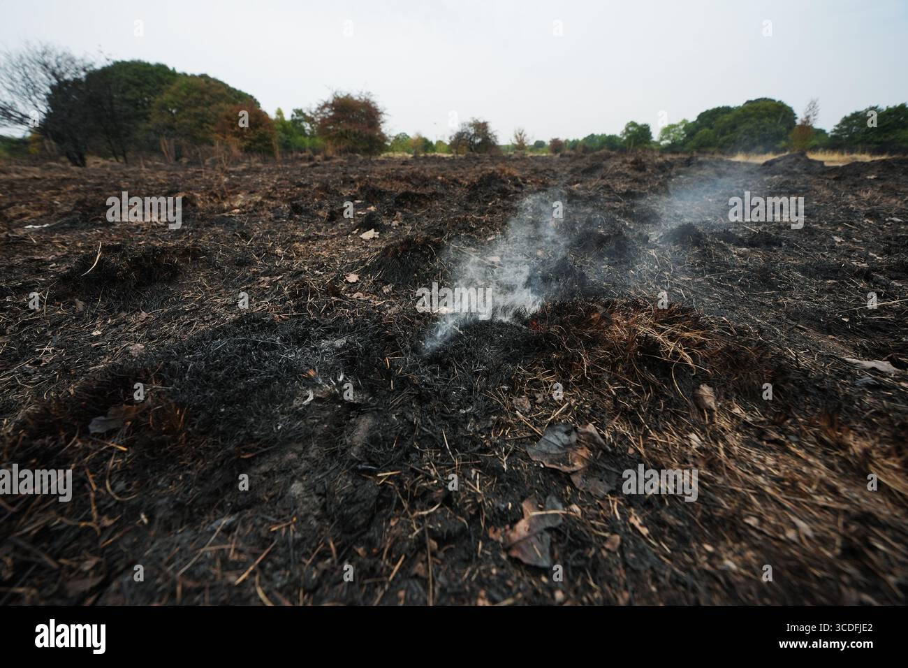 The aftermath of a fire in Wanstead Flats, north-east London. The ...