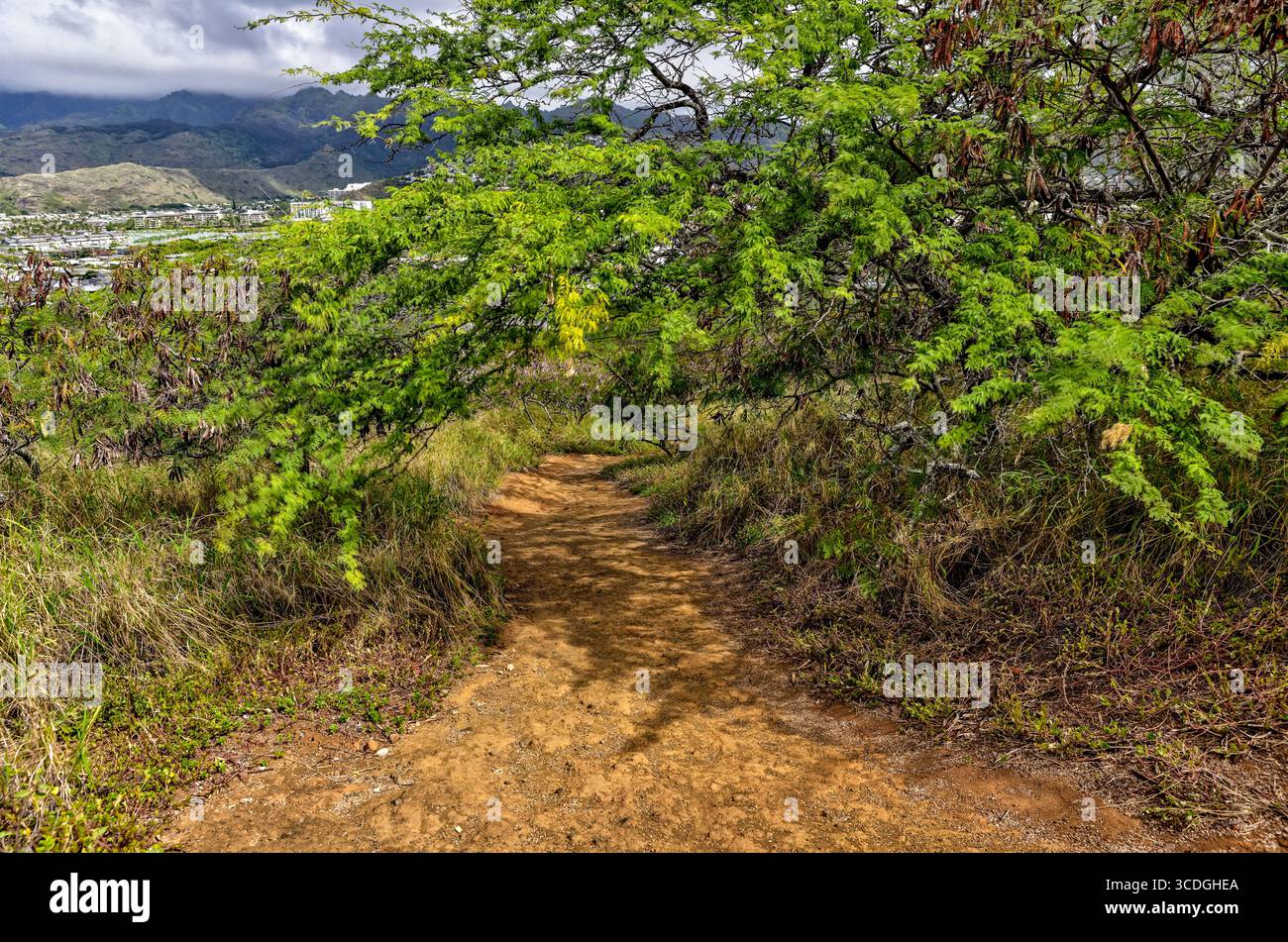 Scenery around Hanauma Bay and Koko Crater on Oahu Stock Photo - Alamy