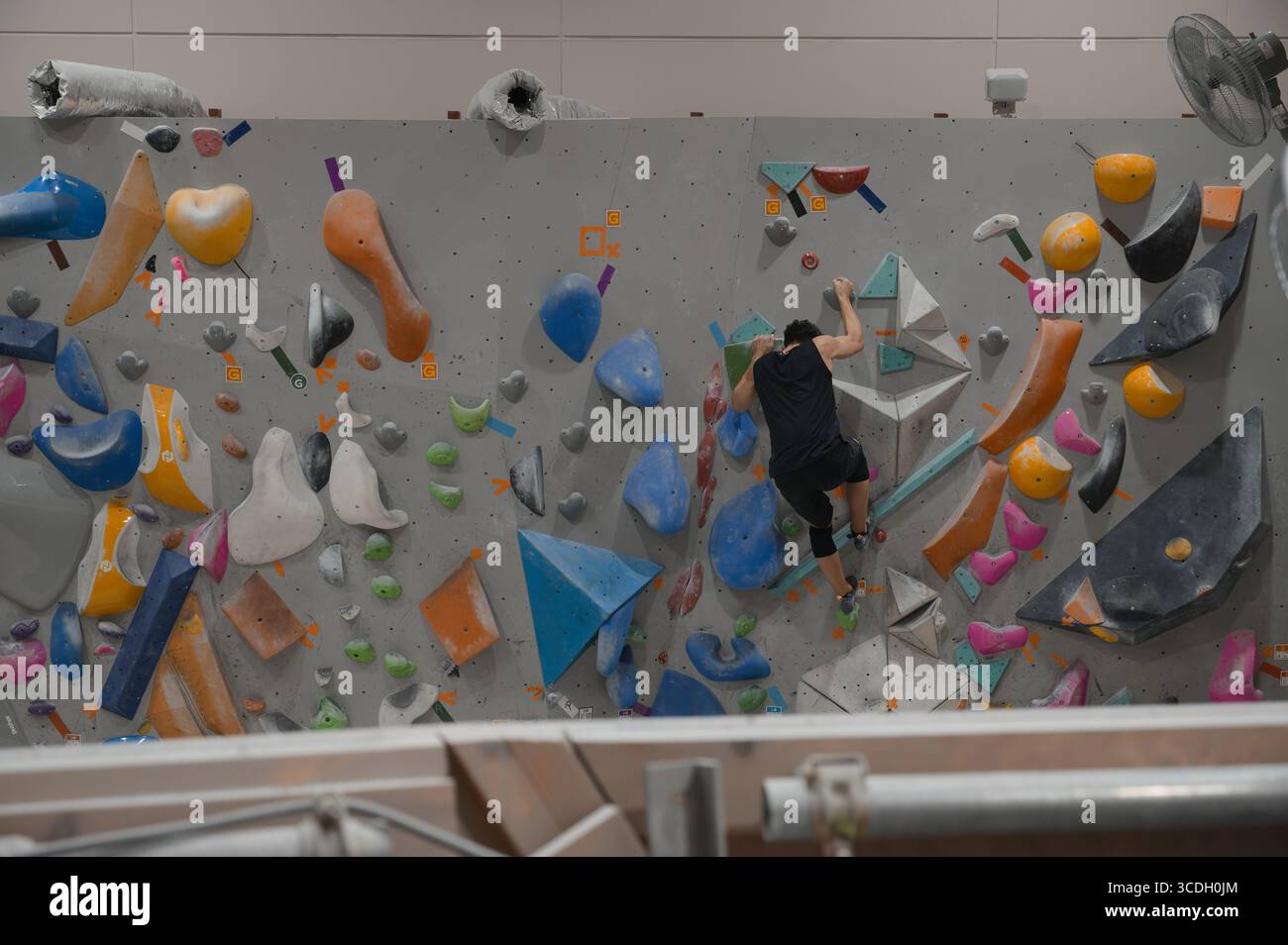 Indoor bouldering climber gripping bright blue holds while balancing on ...