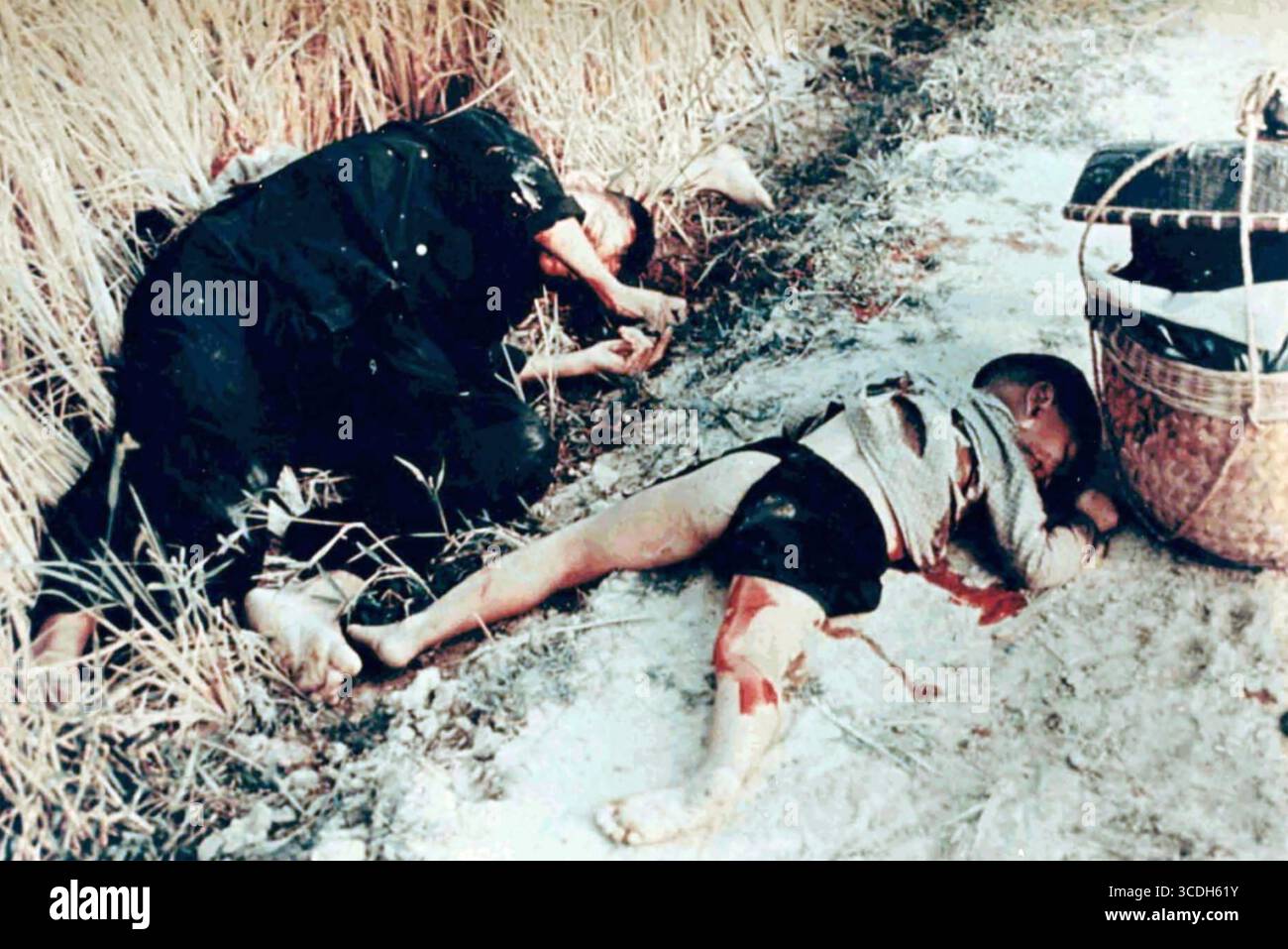 My Lai Massacre 16 March 1968 One Of The Colour Photo9s Taken By U S