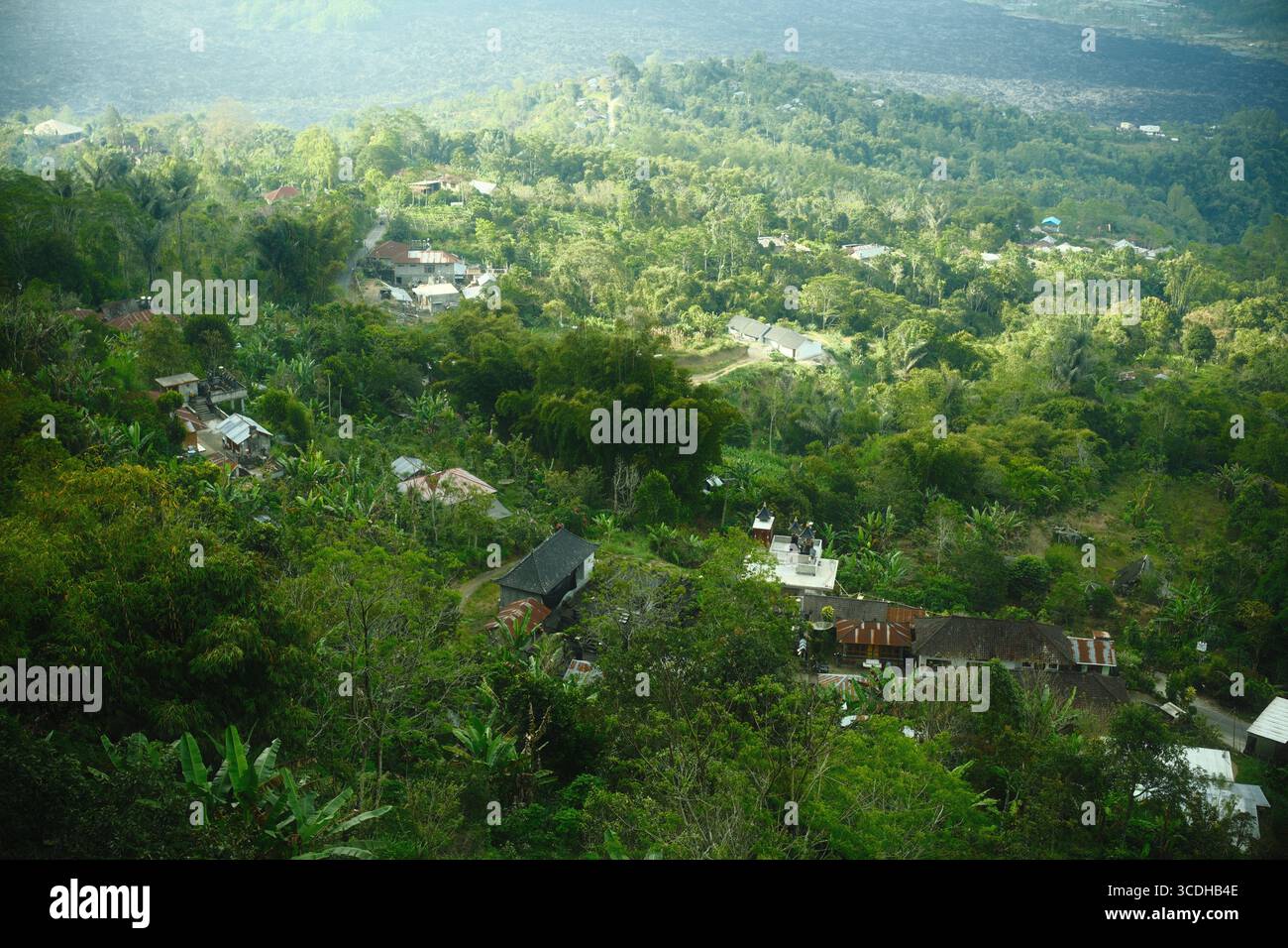 Trees houses dense farms hi-res stock photography and images - Alamy