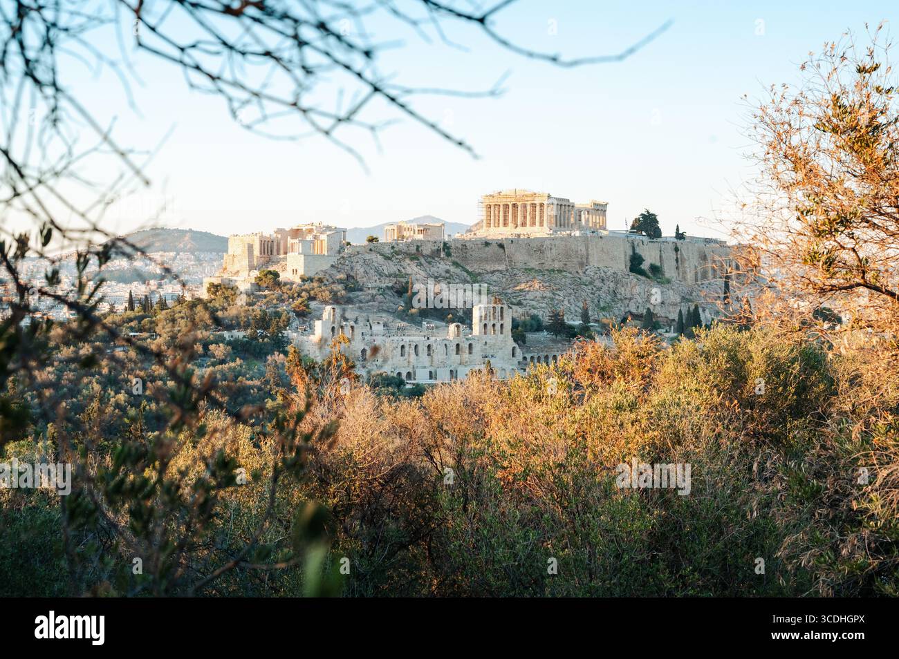 Acropolis of Athens and Parthenon Framed by Olive Trees at Sunset Stock ...