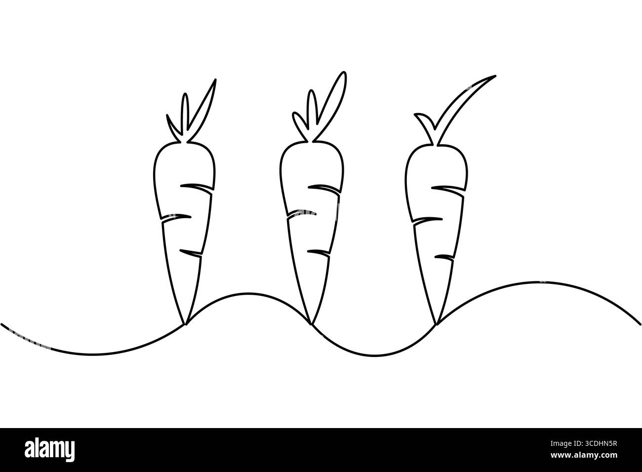 Carrot outline vector continuous line art in modern minimal style Stock ...