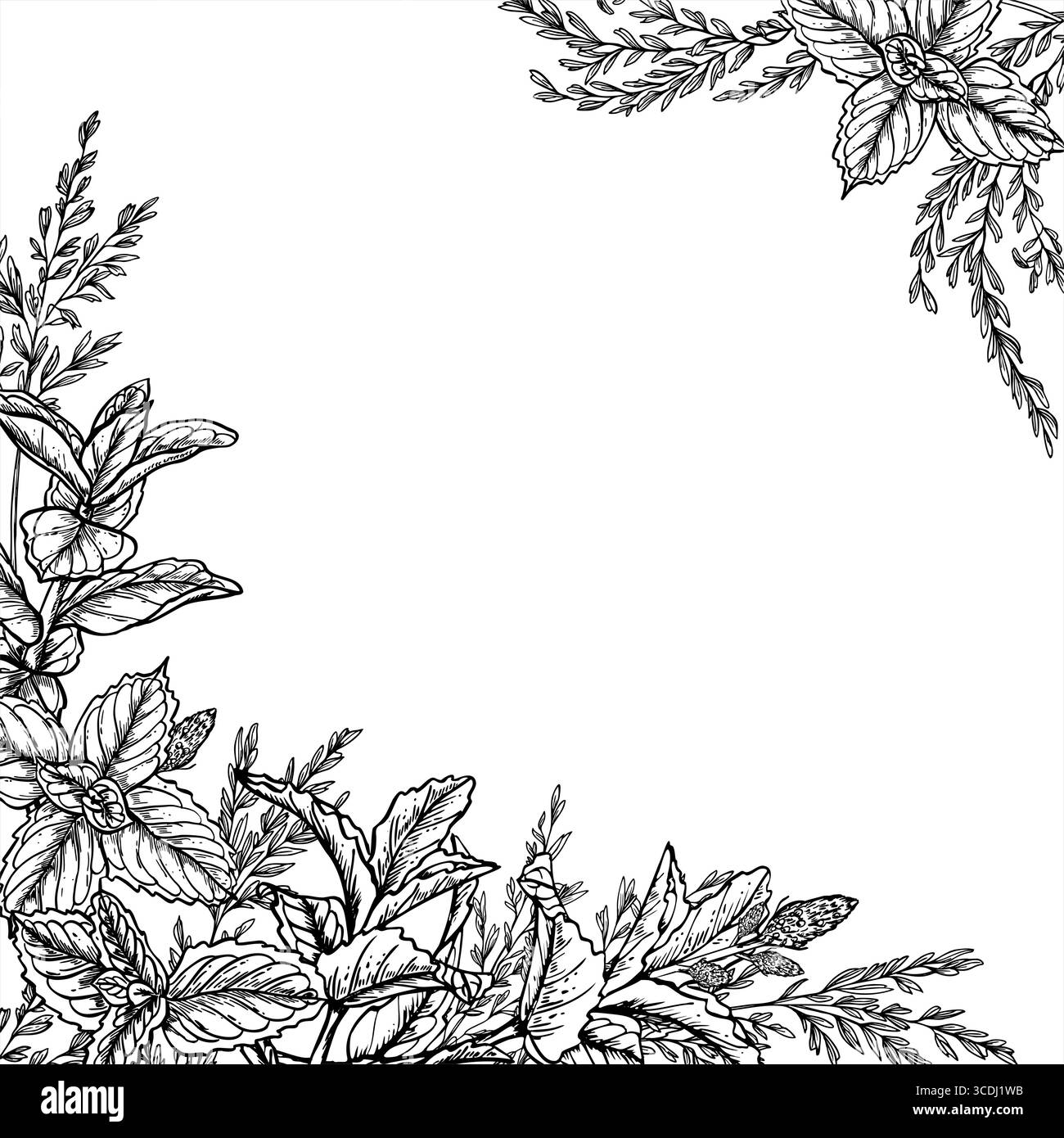 Grass frame in white Black and White Stock Photos & Images - Alamy