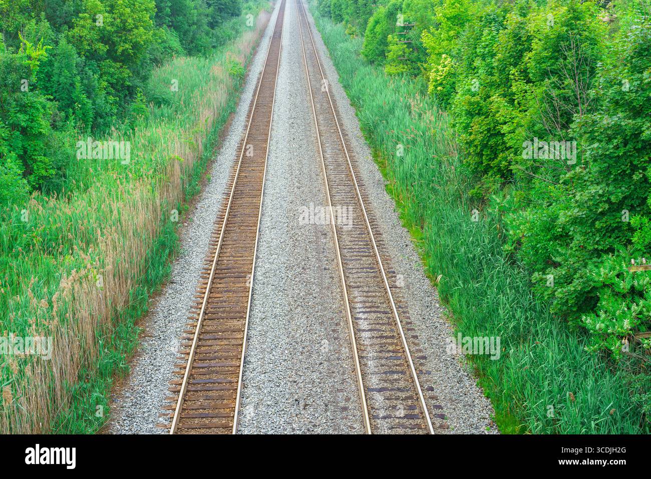 Railroad tracks with vegetation on both sides hi-res stock photography ...