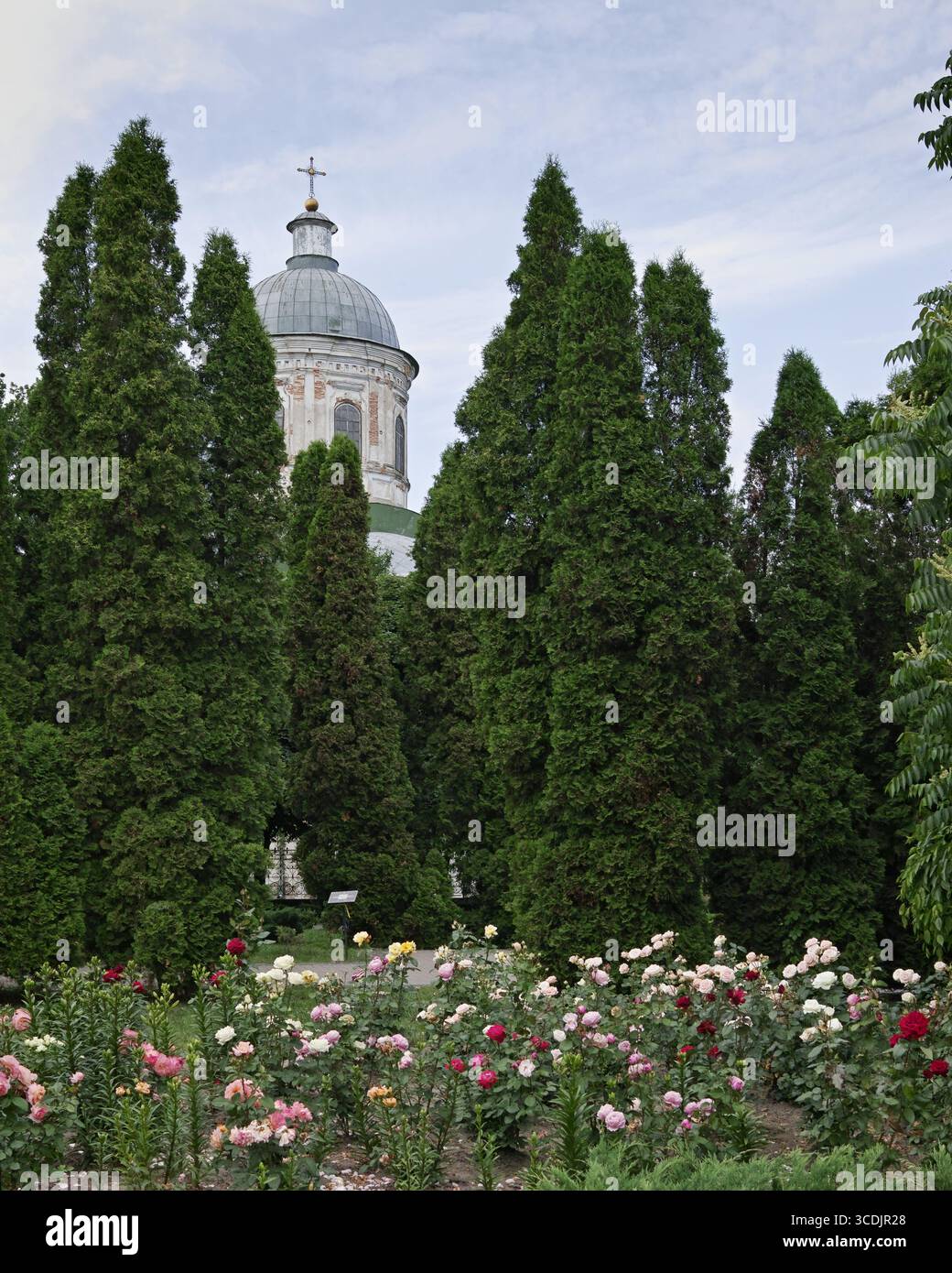 Old juniper tree church hi-res stock photography and images - Alamy