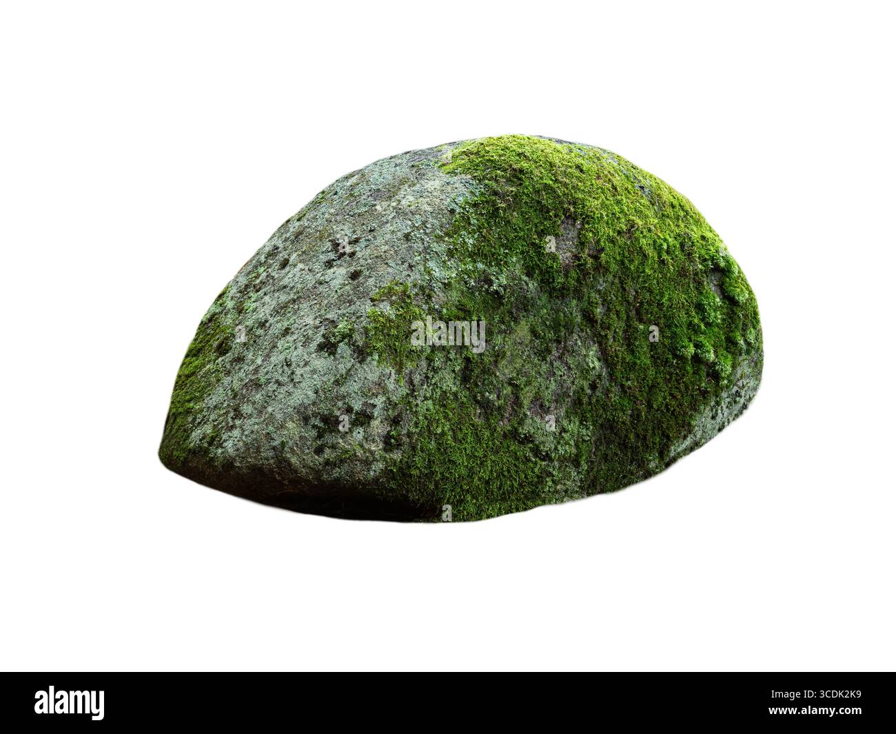 Stone and moss detail Cut Out Stock Images & Pictures - Alamy