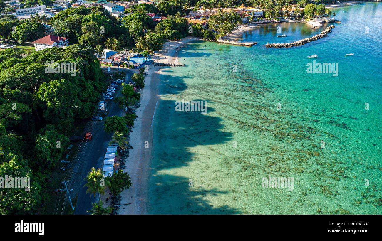 Aerial view of Swallows Beach in Tobago Stock Photo - Alamy