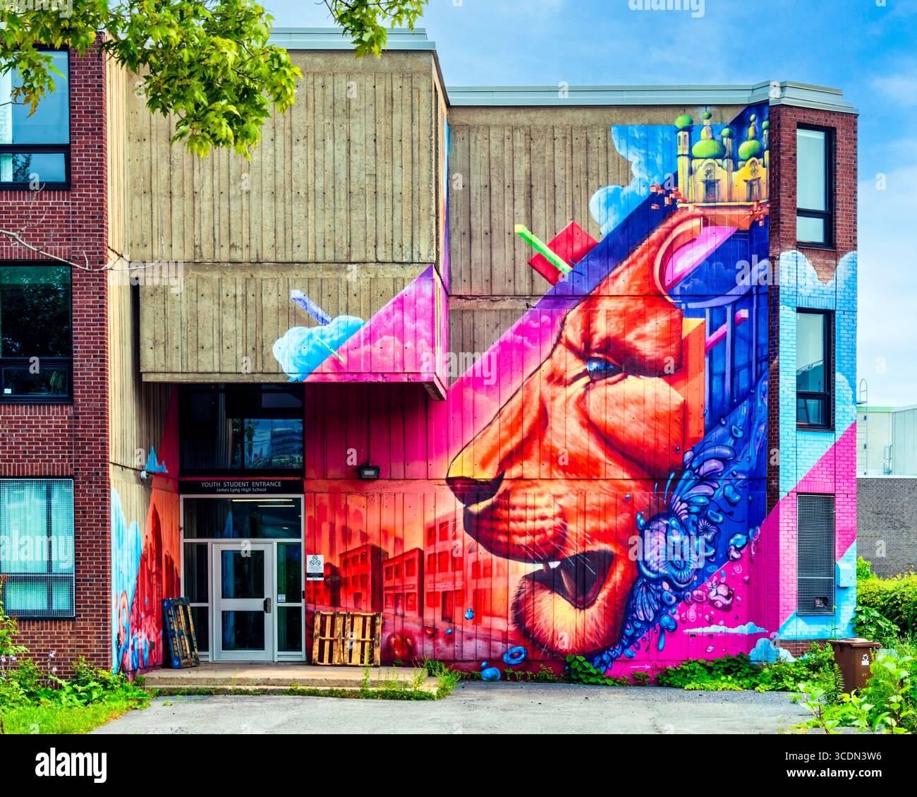 Lion mural on wall hi-res stock photography and images - Alamy