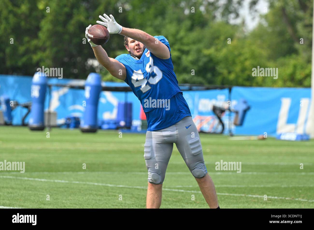 ALLEN PARK, MI - AUGUST 13: Detroit Lions TE Steven Stilianos (43 ...