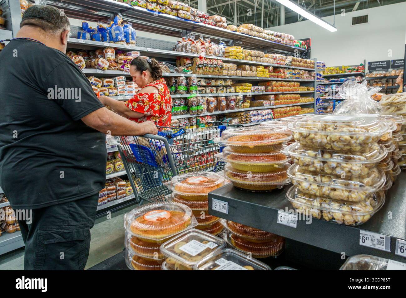 Overweight heavyset obese fat couple comparing items with cart trolley ...