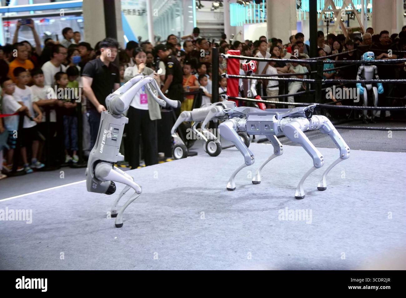 BEIJING, CHINA - AUGUST 11, 2025 - The robots in the exhibition area of ...