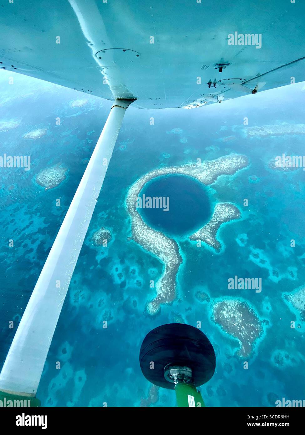 Caribbean coral reef underwater smartphone stock photos and images - Alamy
