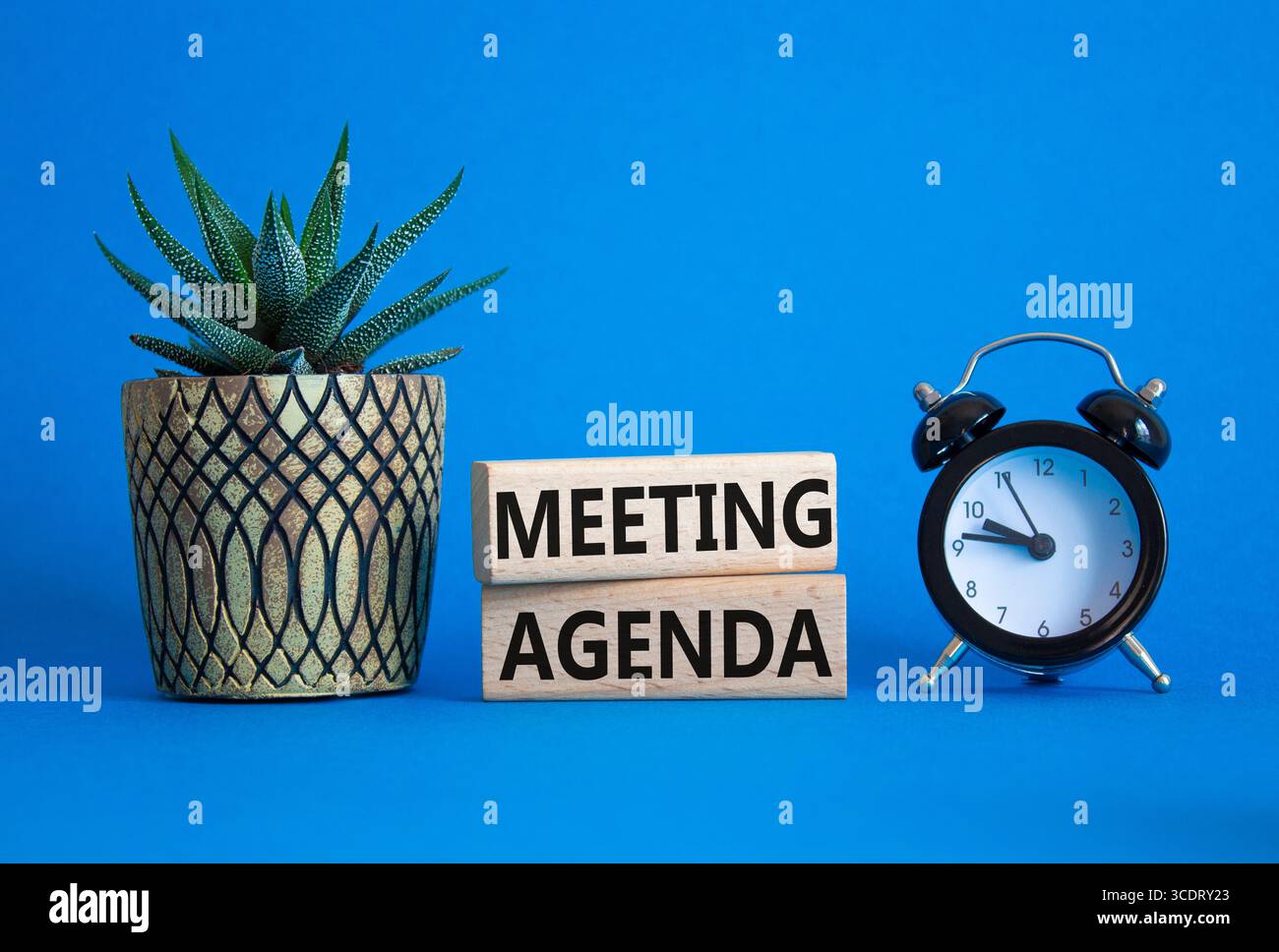 Meeting agenda symbol. Concept word Meeting agenda on wooden blocks ...